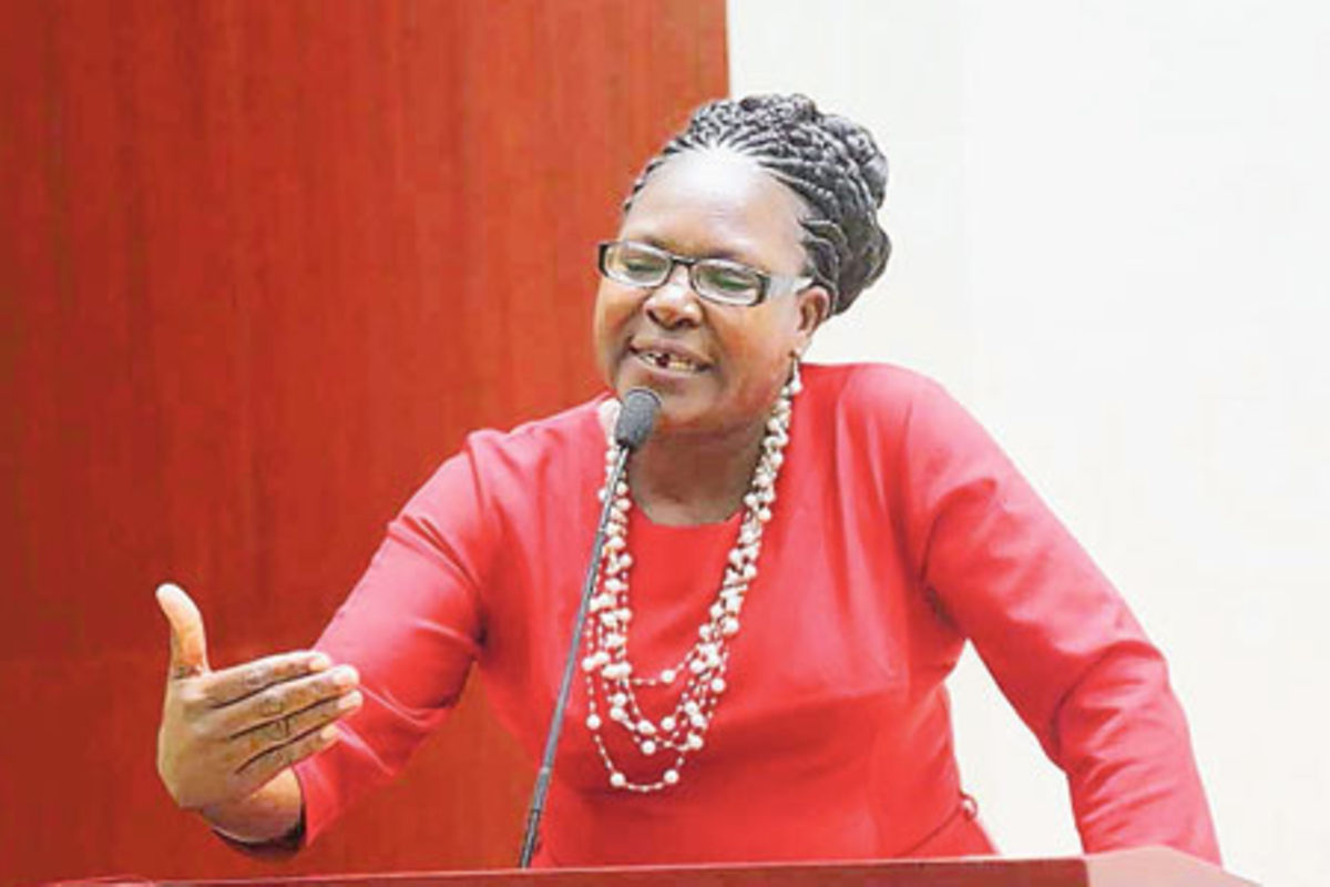 Plight of 132 kicked out in Mozambique swoop | The Citizen