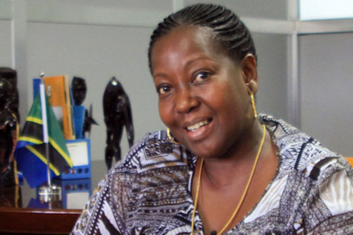 Tanzania, Mauritius sign pact on tourism | The Citizen