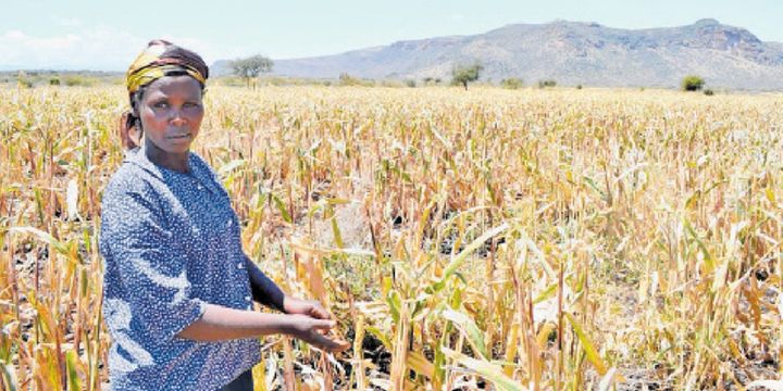 Tales of Chamwino’s starvation | The Citizen