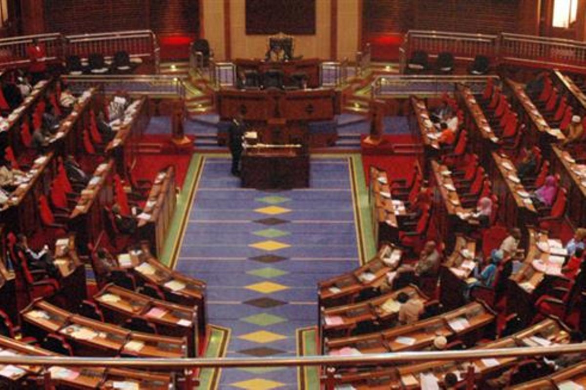 NEC could have averted the Chadema Special Seats saga | The Citizen