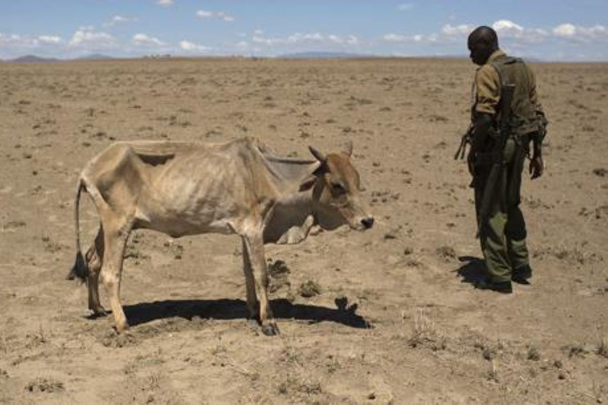 Drought affects Turkana’s dreams of a better future | The Citizen