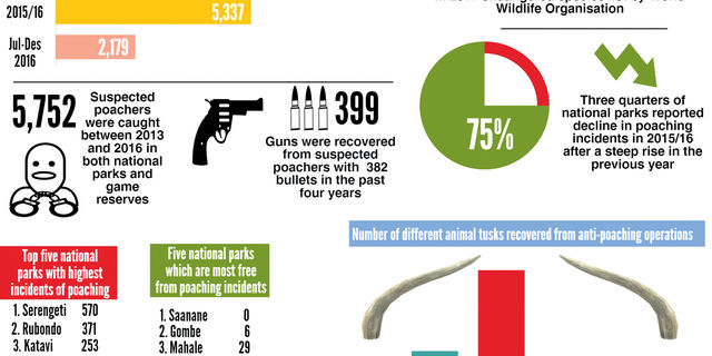SPECIAL REPORT : Political will bears fruit in fight against poaching ...