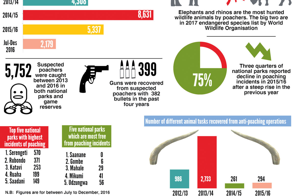 SPECIAL REPORT : Political will bears fruit in fight against poaching ...