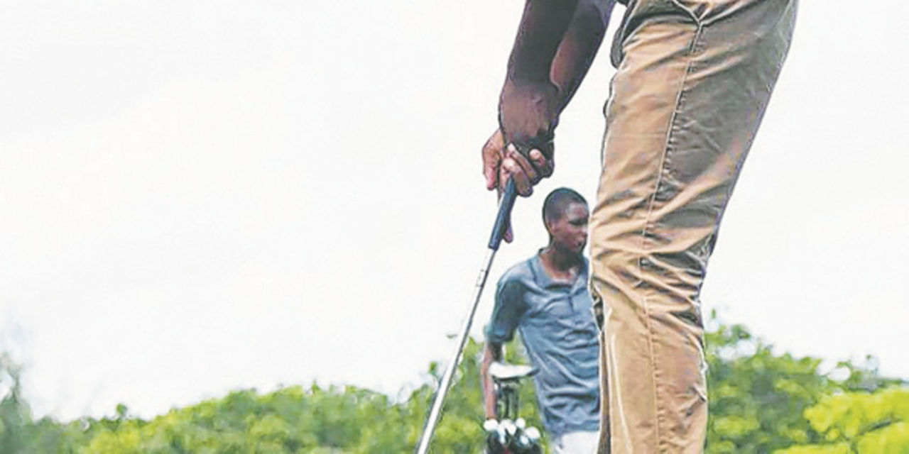 Lugalo golfers shine at memorial tournament | The Citizen