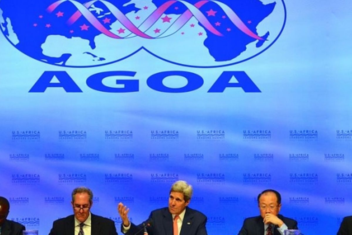 EDITORIAL: AGOA ROW IS WAKE-UP CALL ON AGRICULTURE | The Citizen