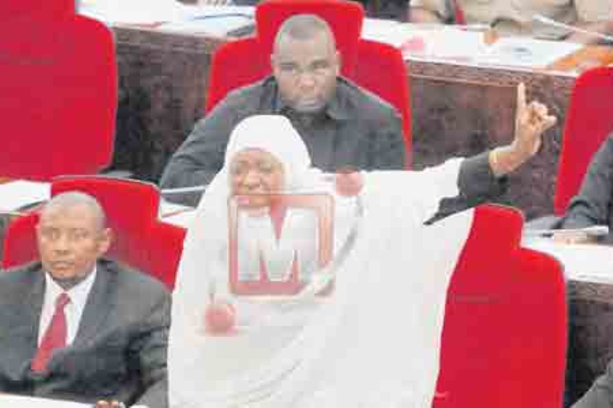 Kabudi quotes Shakespeare to justify new mining laws | The Citizen