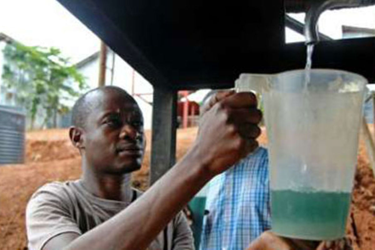 Rwanda's essential oils offer big profits from little land | The Citizen