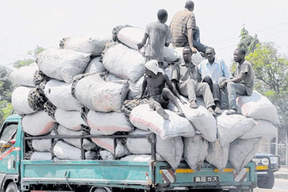 Why charcoal trade must be checked | The Citizen