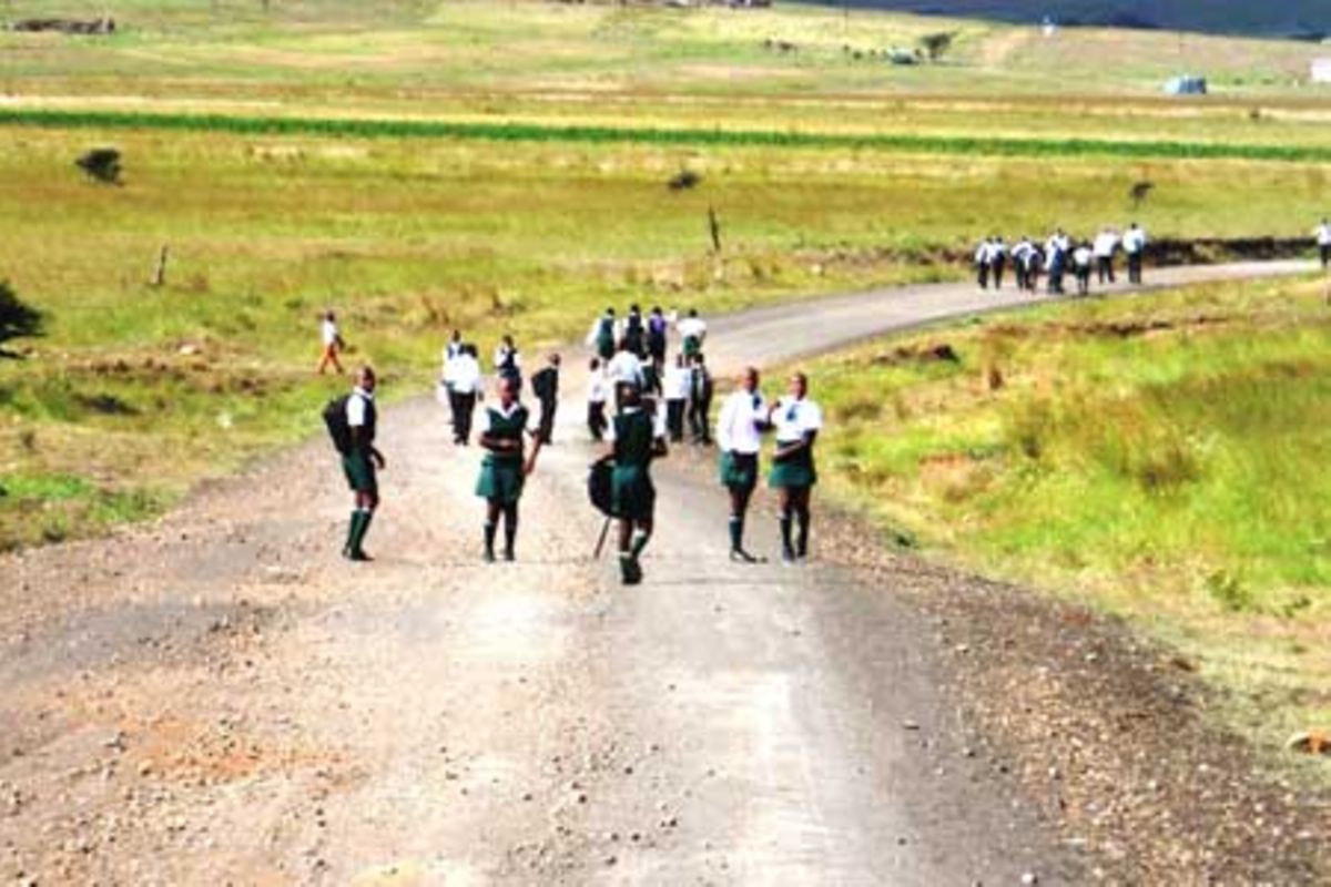 Long and risky walk to school | The Citizen