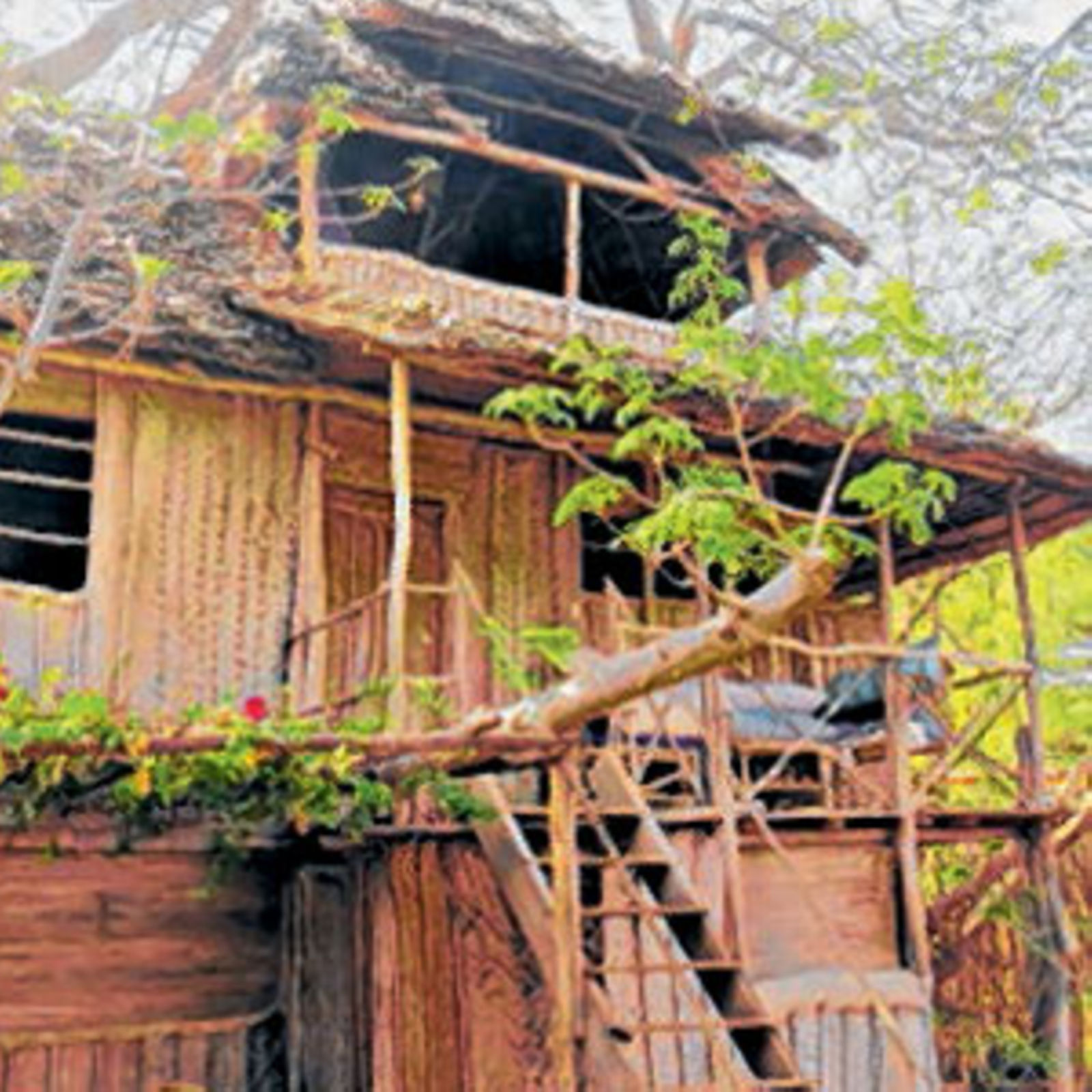 baobab tree house inside