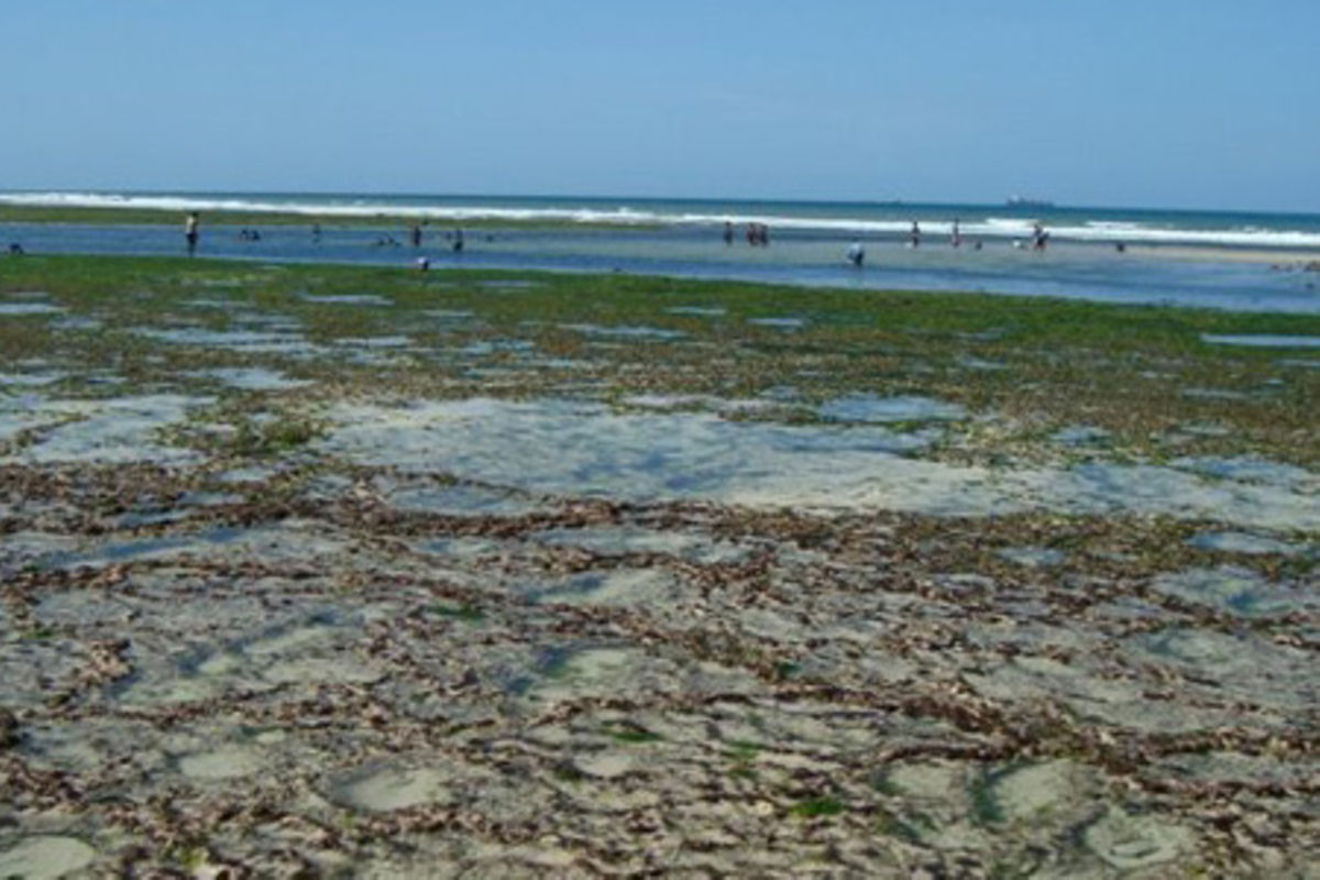 Traders discover 3 bodies floating along Coco Beach | The Citizen