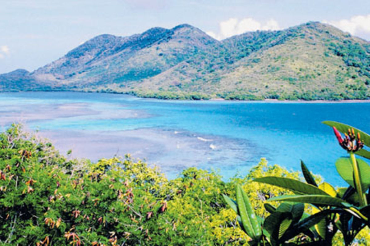 The amazing rocky island that is Saanane National Park | The Citizen