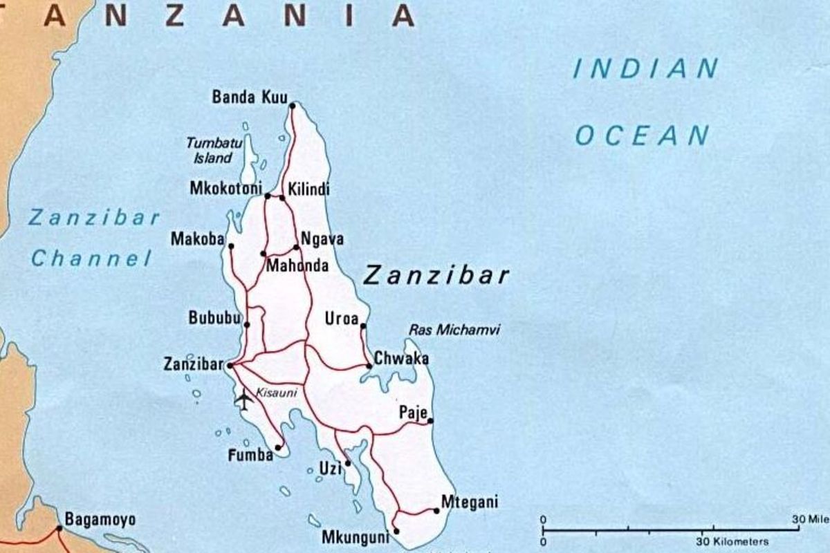 Zanzibar records slight decline in urban poverty | The Citizen