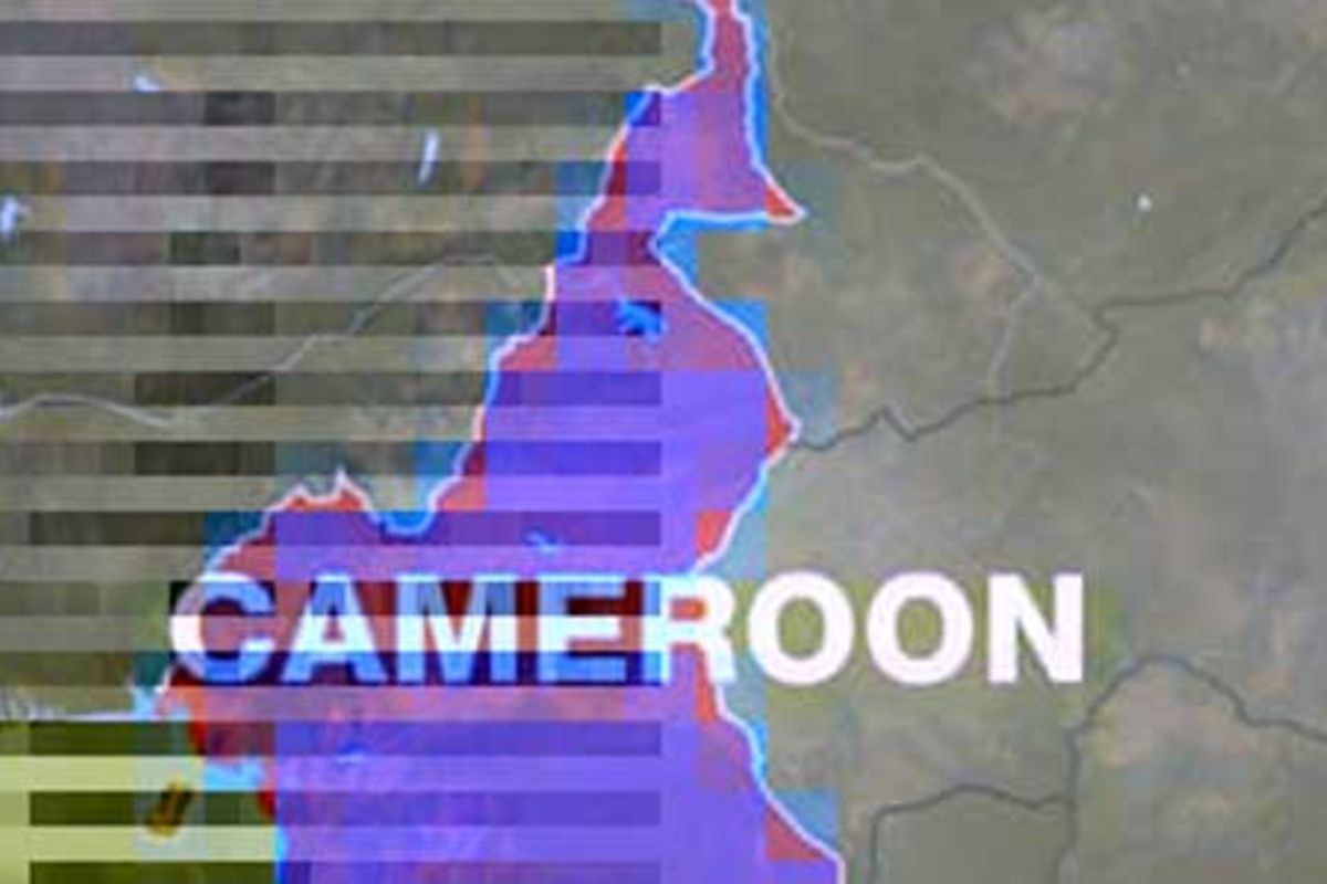 Cameroon to tighten border access rules | The Citizen