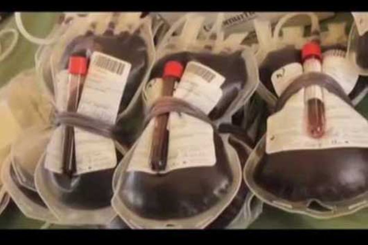 Step up blood donation drive | The Citizen