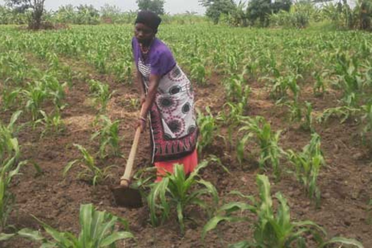 Tasaf beneficiaries appeal for more funds | The Citizen