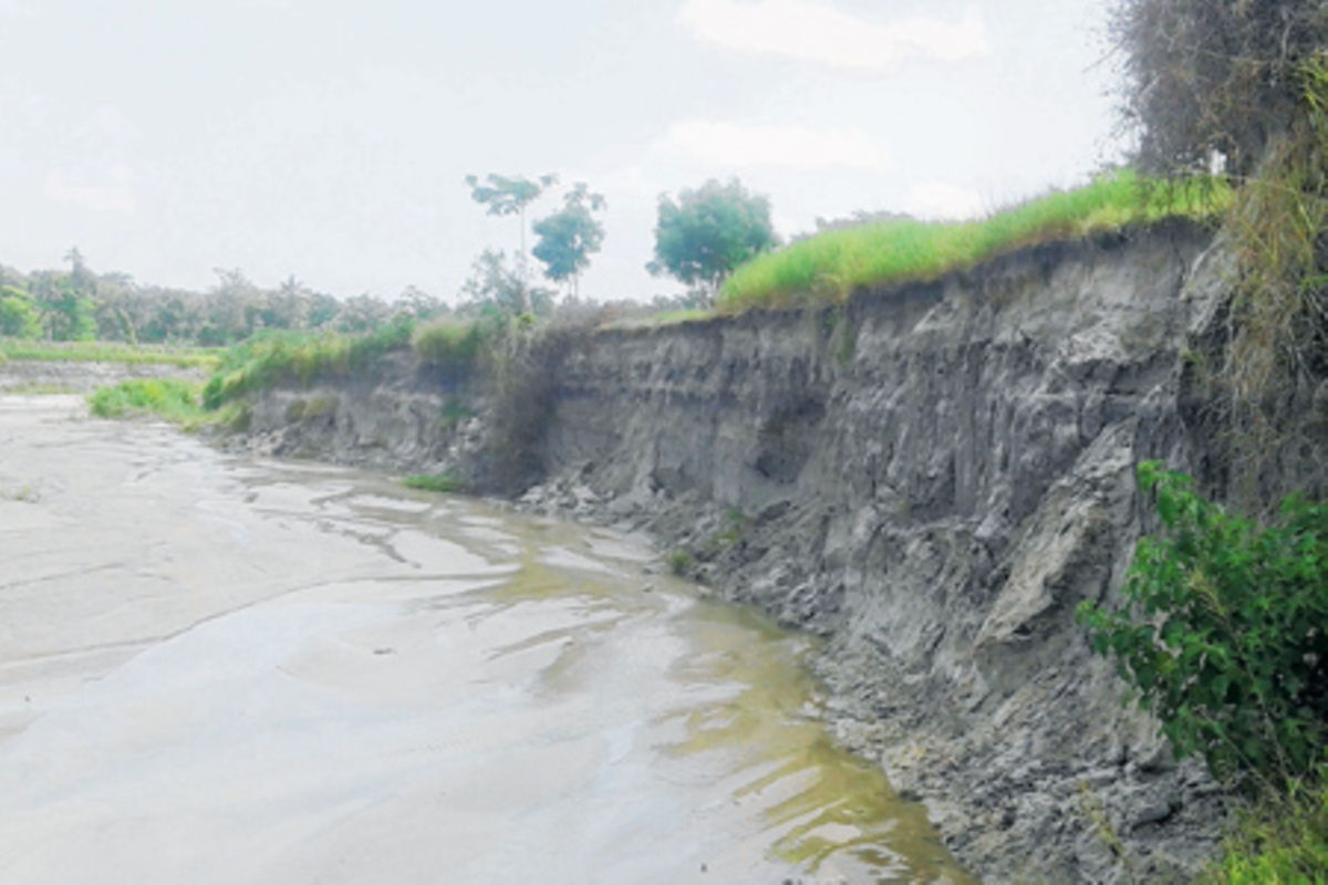 Msimbazi River opportunity and the remaking of Dar | The Citizen