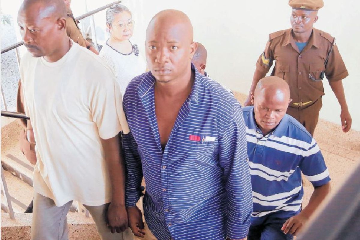 ‘Ivory Queen’ case set for hearing | The Citizen