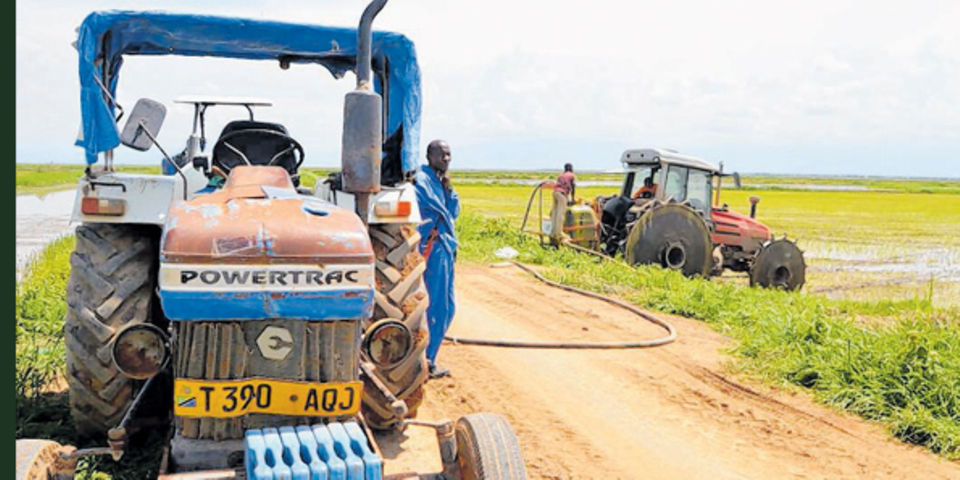 How modern farming practices helped triple production of rice | The Citizen