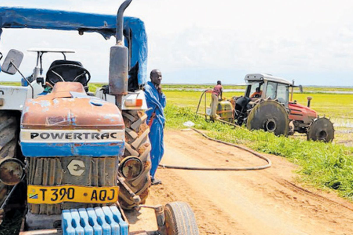 How modern farming practices helped triple production of rice | The Citizen