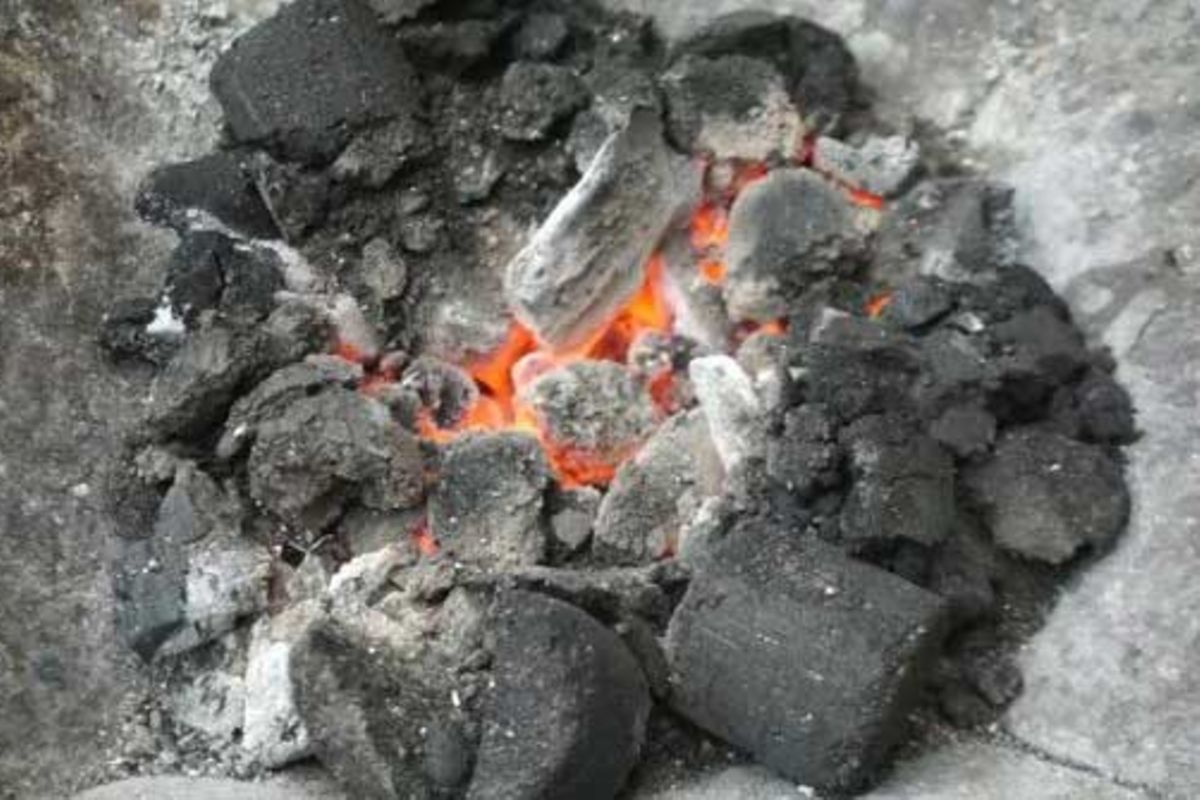 VIDEO: 91pc of Dar residents use charcoal as source of energy; report ...