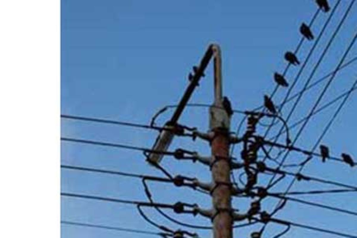 Sh9 billion to connect power to Arusha villages | The Citizen