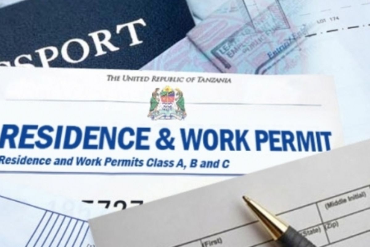 Tight work permits rules bad: investors | The Citizen