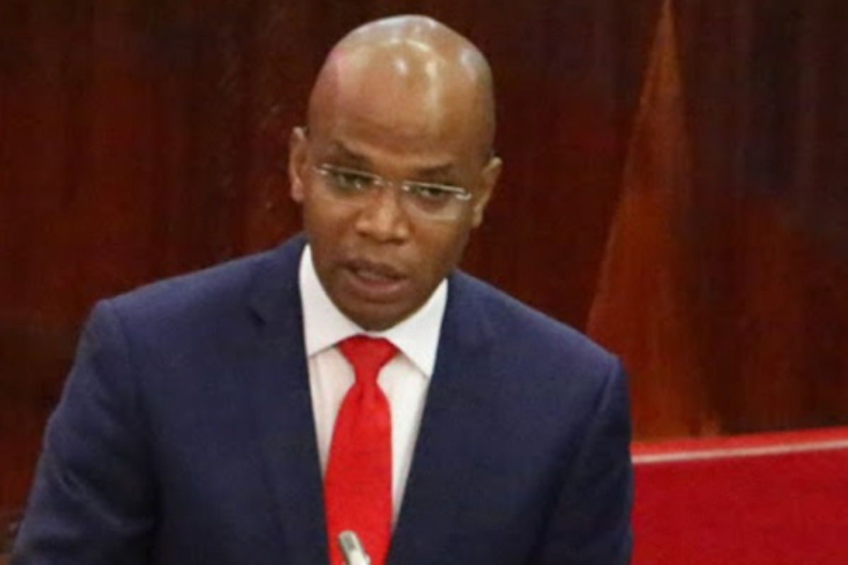 Environment budget too small, House told | The Citizen
