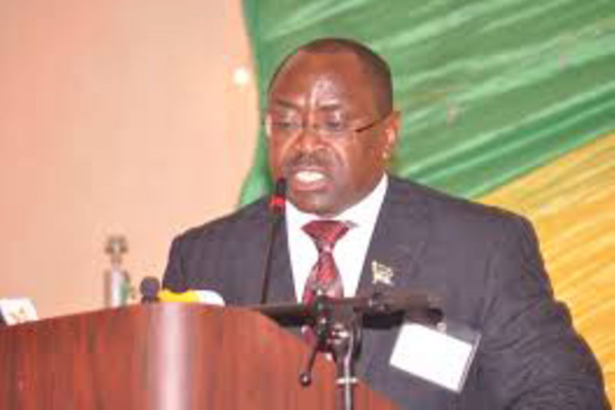 Tasaf to unveil livelihoods engagement programme | The Citizen