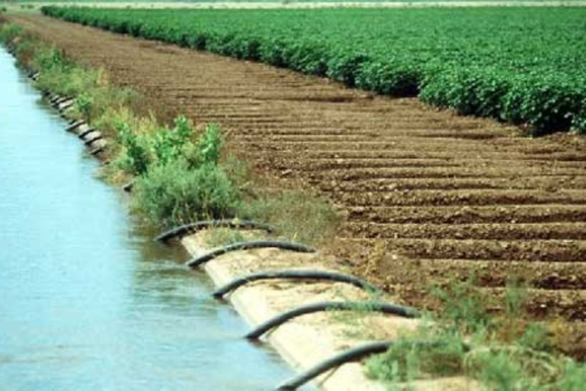 Report: Rivers remain big source of irrigation water | The Citizen