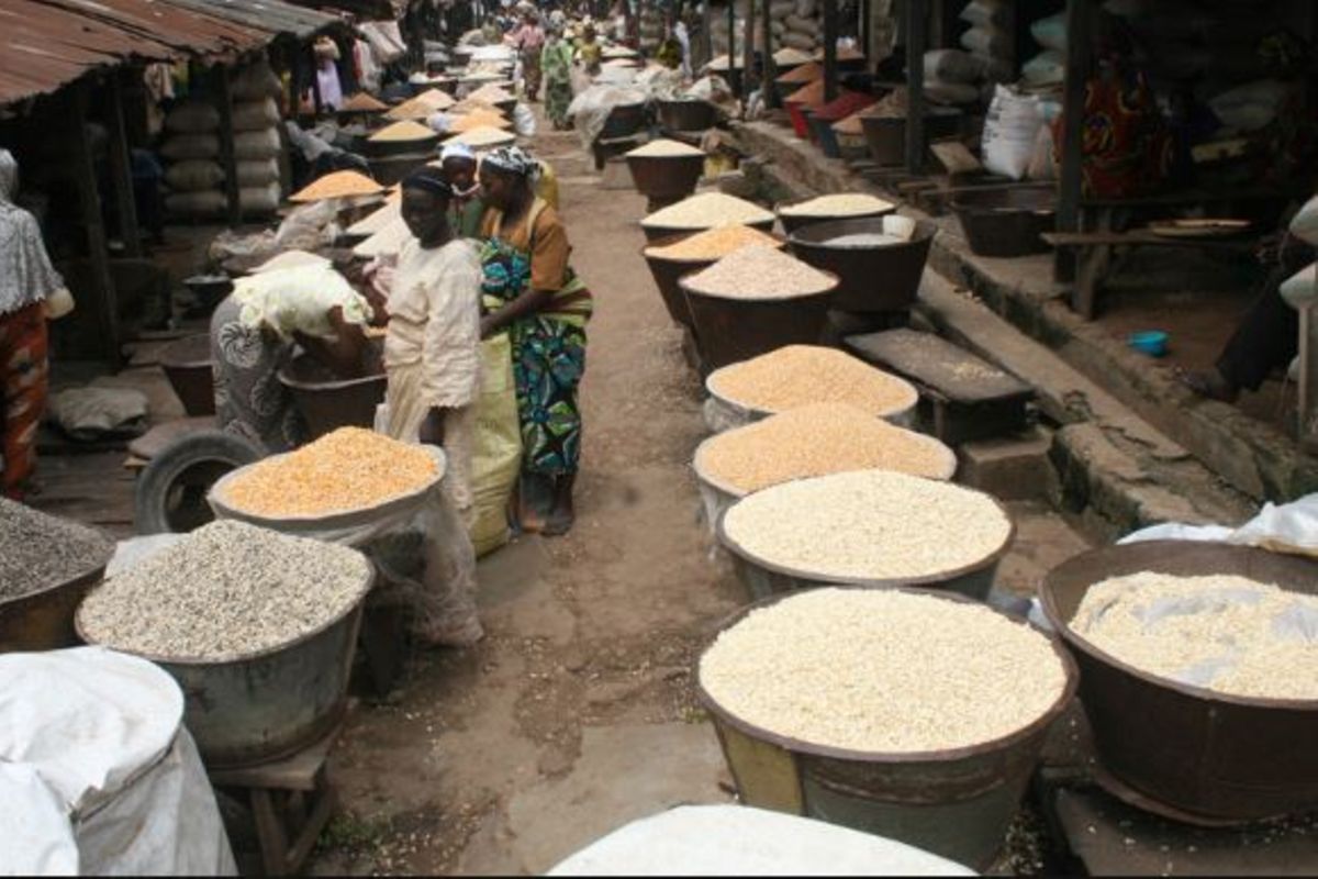Kenyan maize farmers out of market | The Citizen