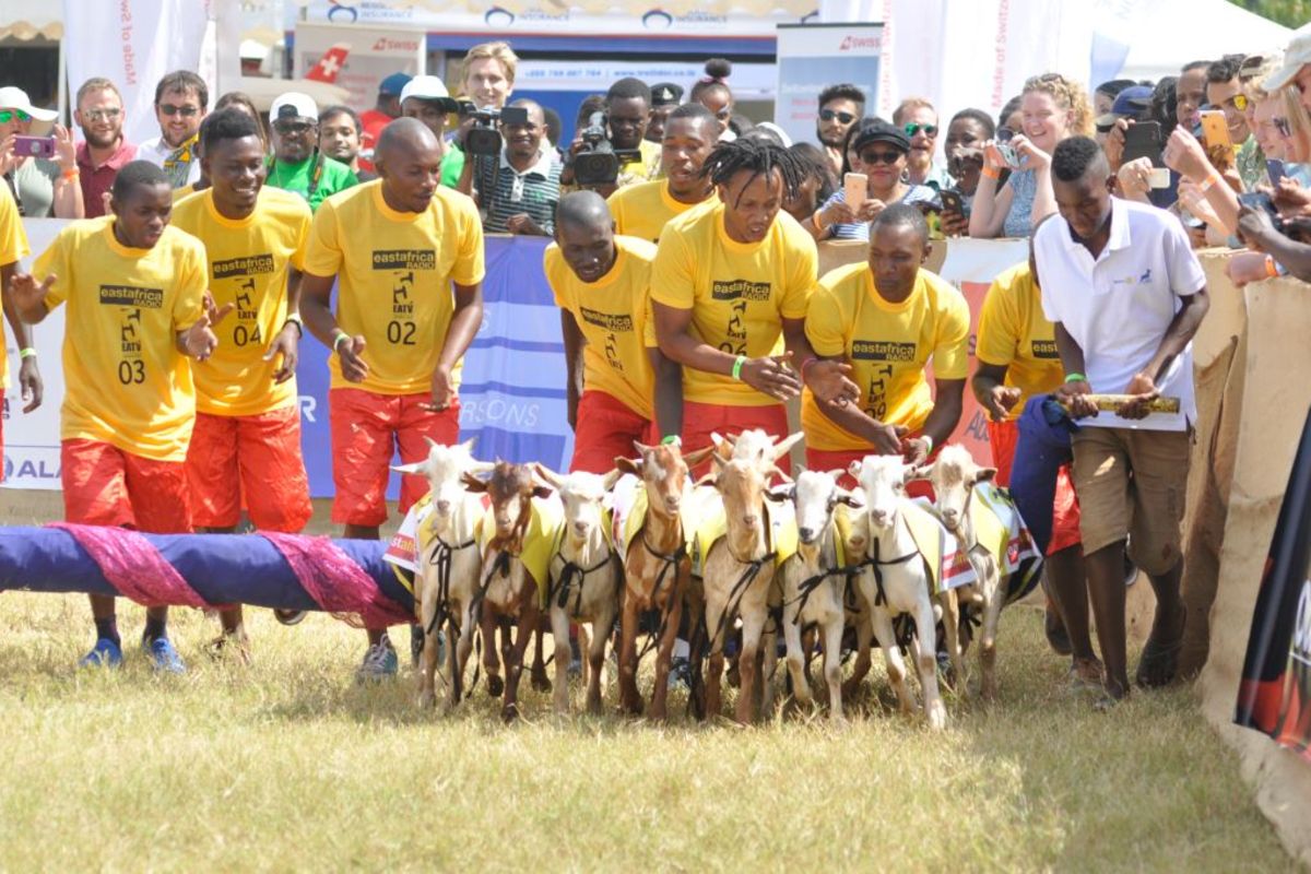 Thousands join the Rotary Goat Races in Dar es Salaam | The Citizen