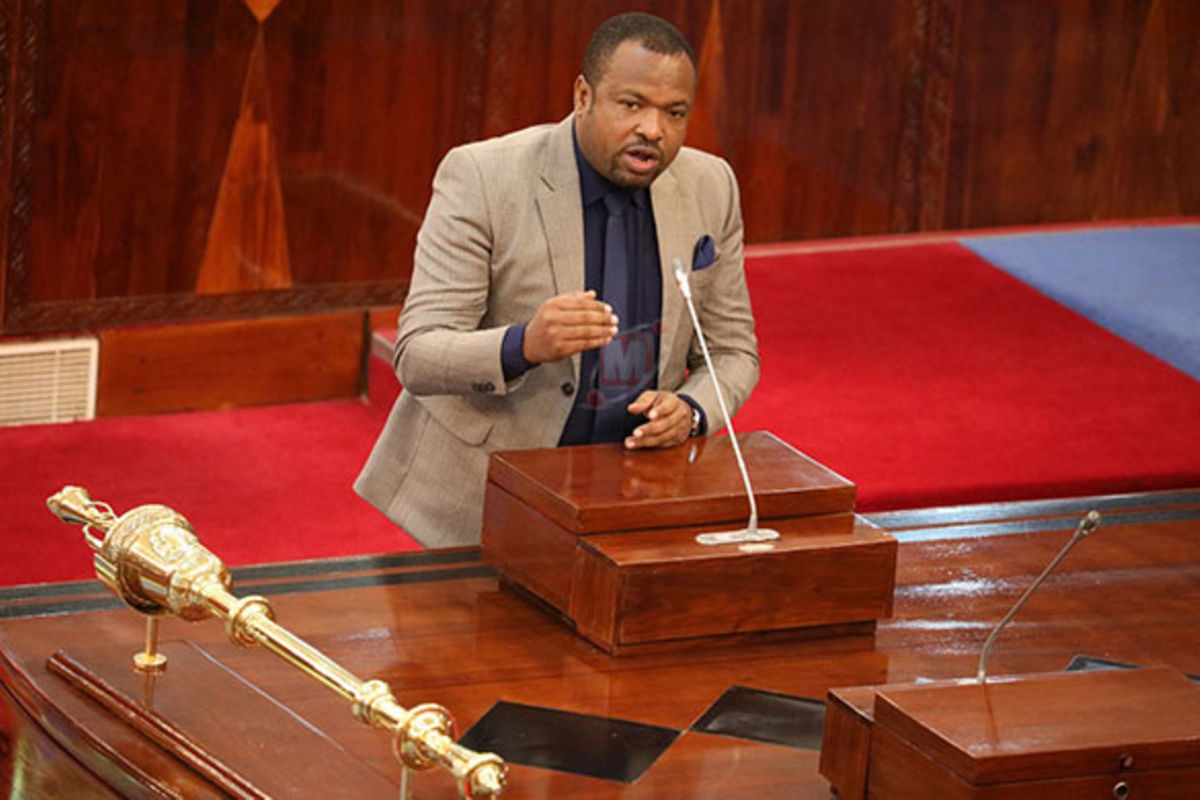 Tanzania to get Kiwira Coal Mine investor this year | The Citizen