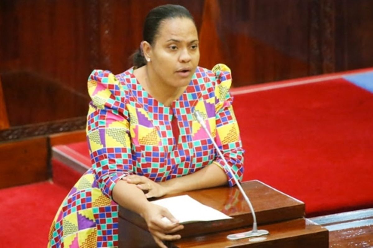 Government, Suma JKT signs contract to establish Sh11bn mining centres ...