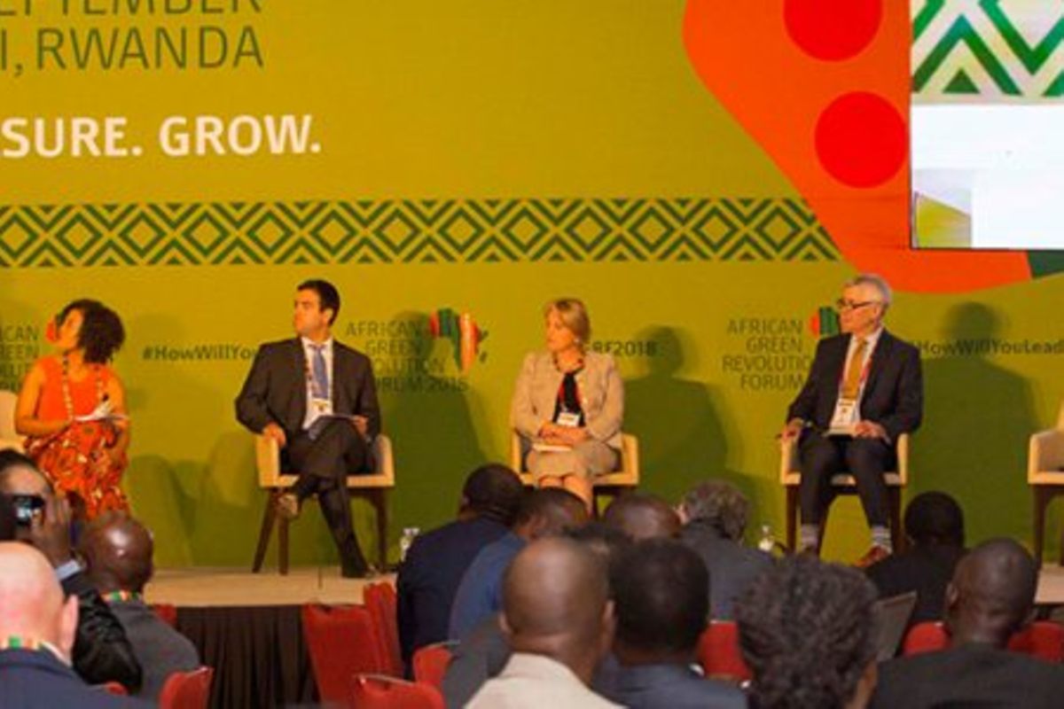 Farmer-led irrigation for positive change | The Citizen