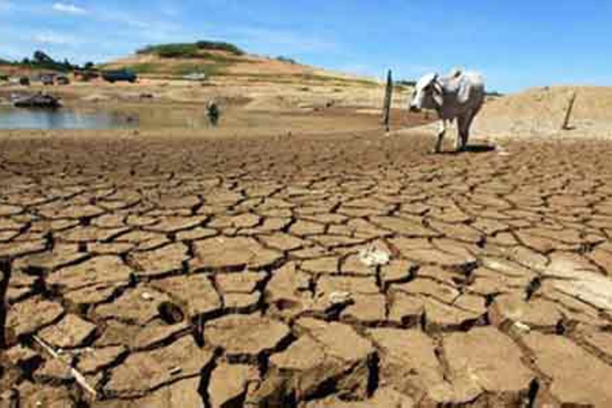 African countries commit to finding innovative solutions to ...