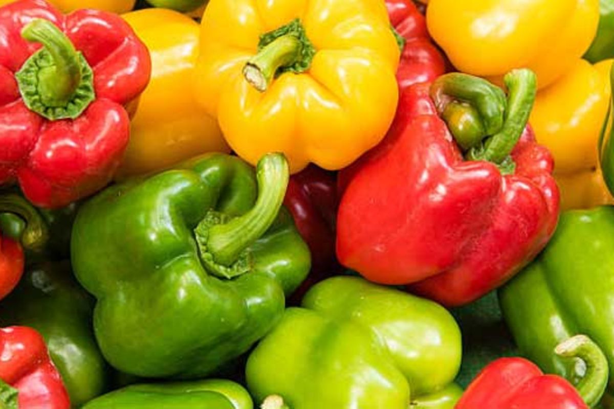 Bell pepper prices up as supply falls | The Citizen