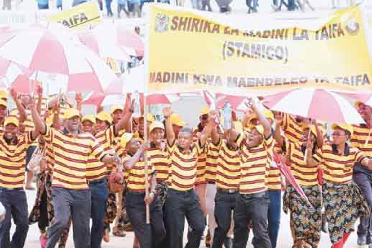 Stamico reviews effectiveness of its 50 prospecting licences | The Citizen