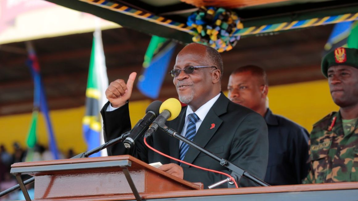 Magufuli thrilled by education, health services provided by Roman ...