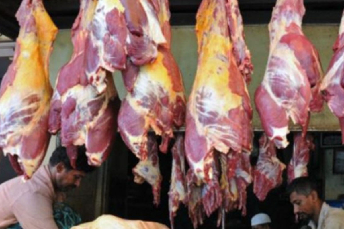 Nemc closes down donkey meat plant | The Citizen
