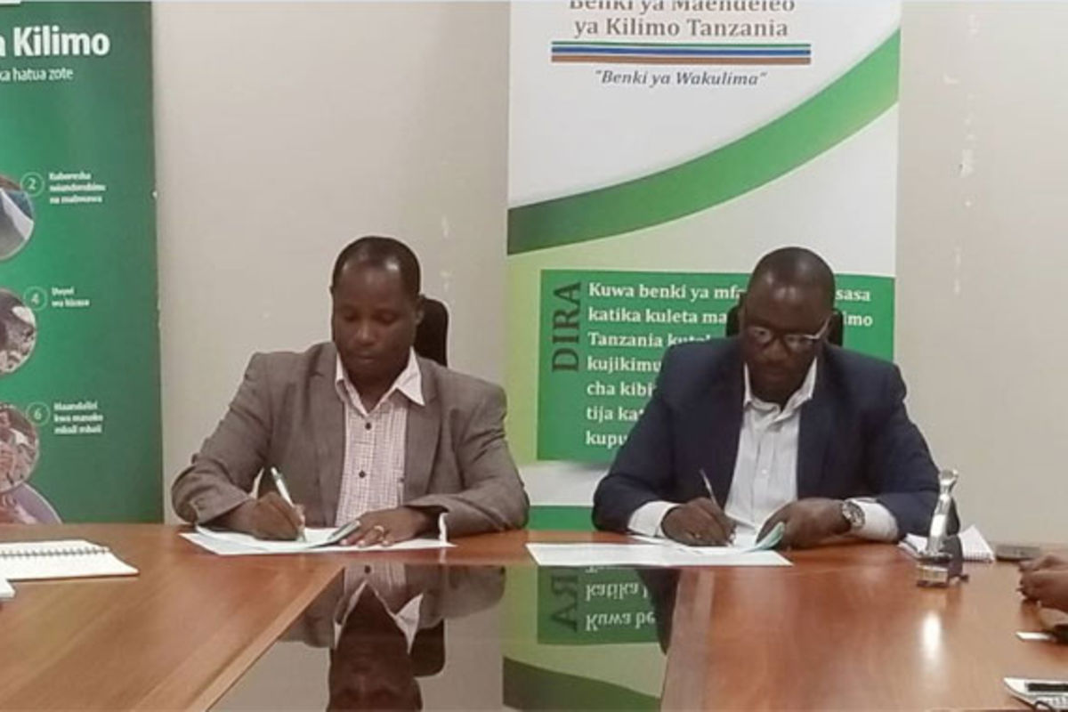 Dairy board, TADB in deal on value chain | The Citizen