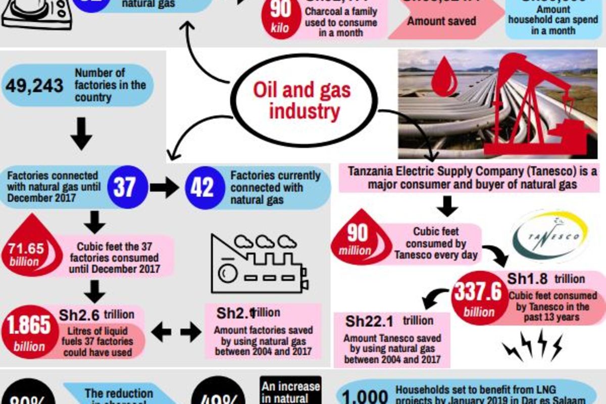 Tanzania oil and gas sector vibrancy dwindles in 2018 | The Citizen