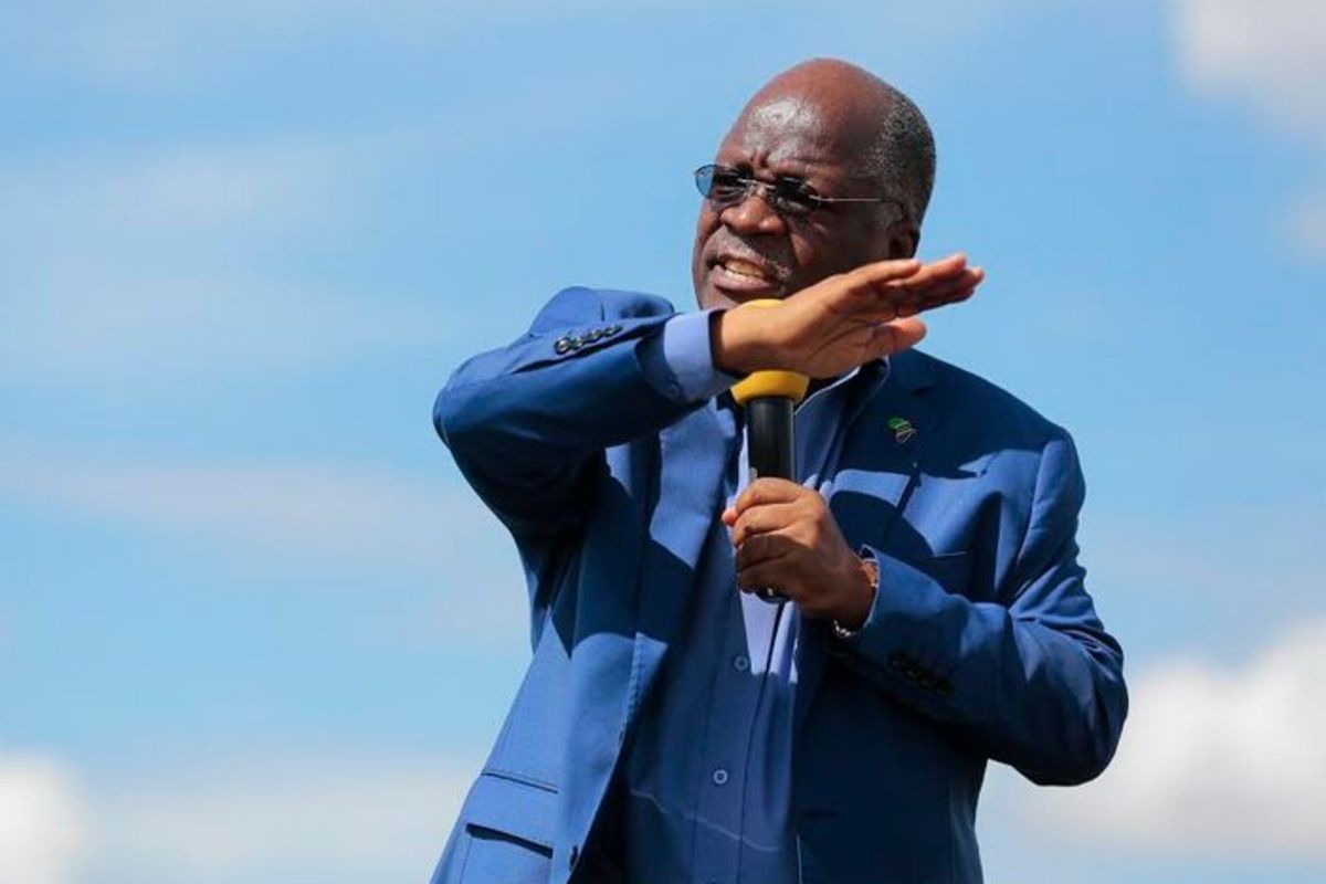 New investment docket announced as Magufuli makes mini reshuffle | The ...