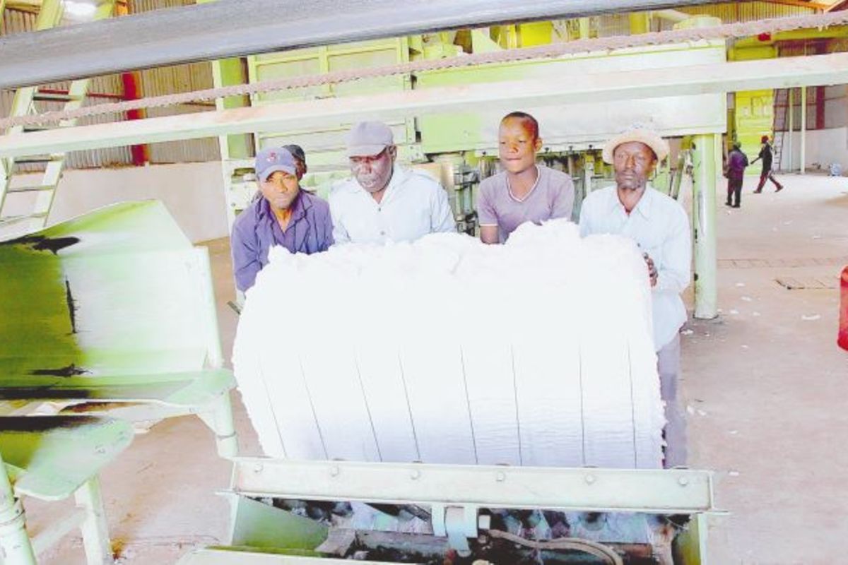 Govt: our current, future plans for cotton sub-sector | The Citizen