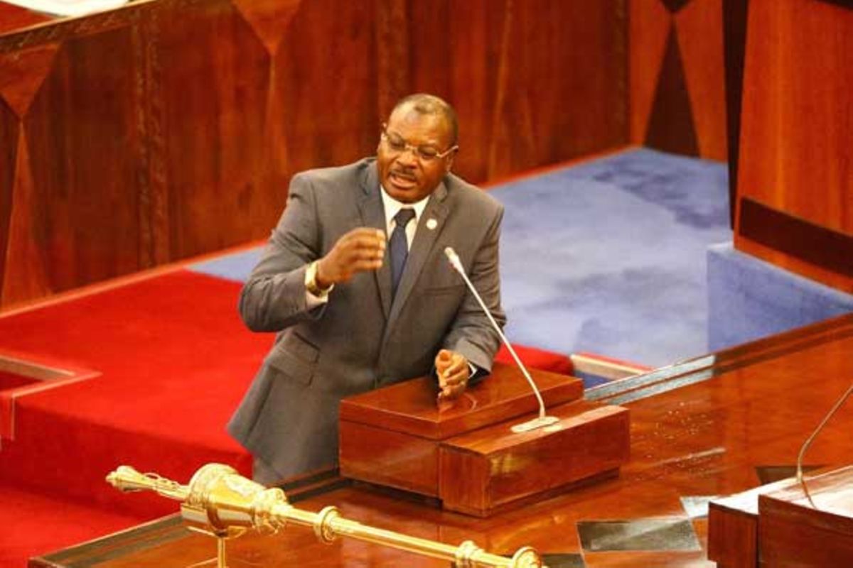 No plans to upgrade Nyamwaga health center into Tarime district ...