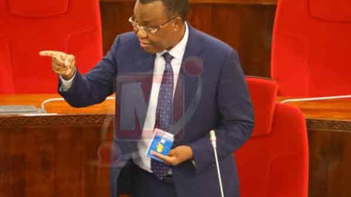 Billionaire Mo Dewji put on notice over undeveloped farms - The Citizen