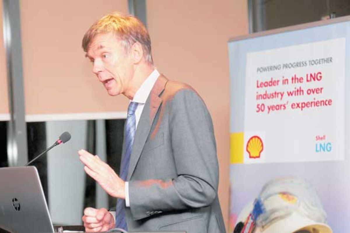 LNG project on the right track: director | The Citizen