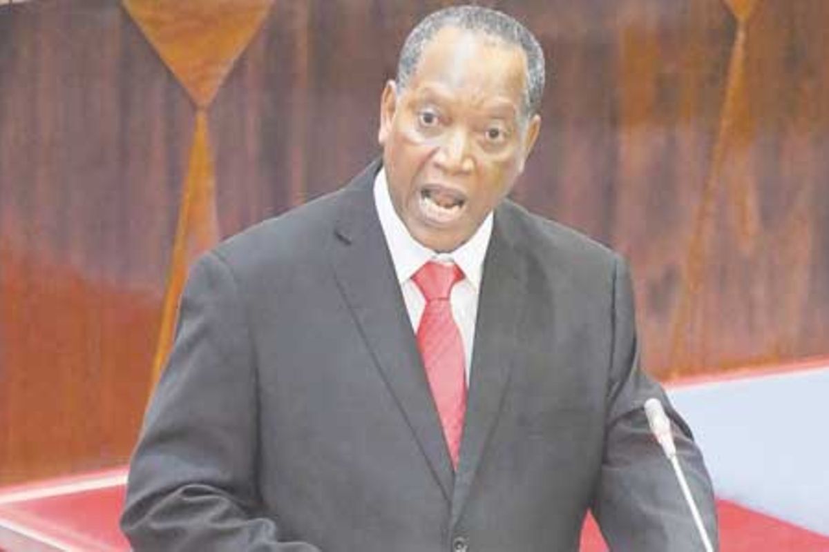 Kabudi defends new legislation | The Citizen