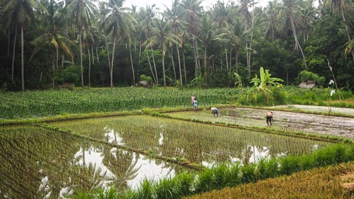 New directions for irrigation development in Tanzania and the context ...