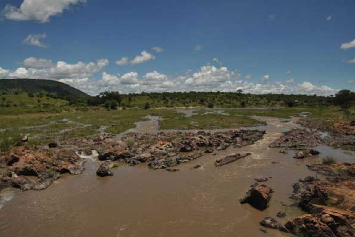 Tanapa outlines plans to protect Great Ruaha River | The Citizen